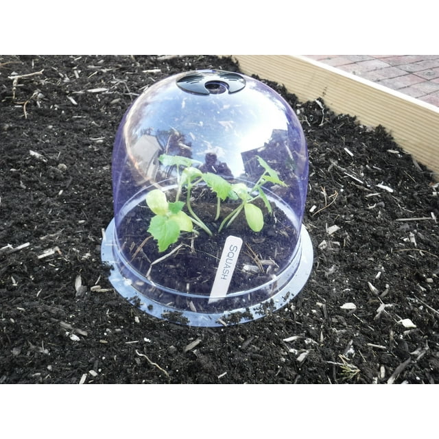 6-Pack! GrowAway™ Medium Reusable Plastic Mini Greenhouse, Garden ...