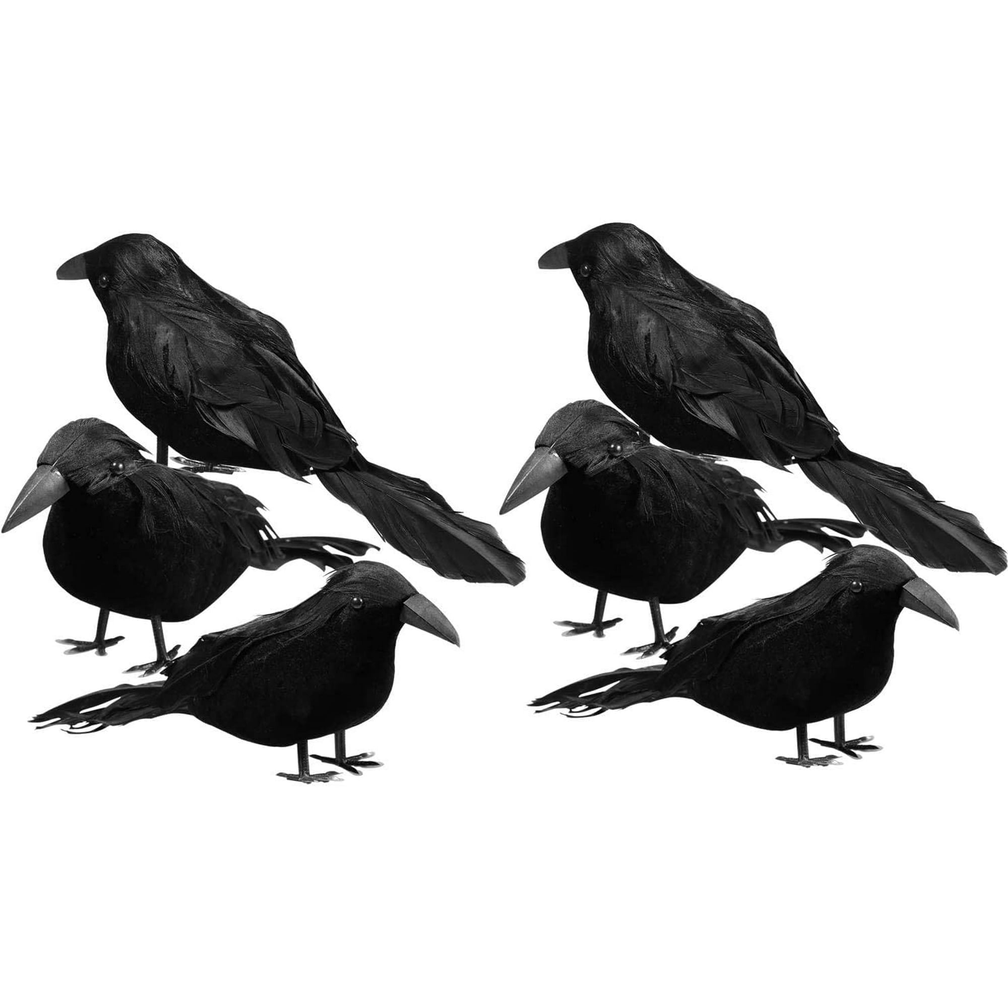 6 Pack Halloween Black Feathered Crows, Realistic Artificial Hanging ...