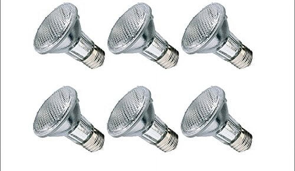 6-Pack Halogen PAR20 39 Watt (50W Replacement), Dimmable, 120 Volt, 40 ...