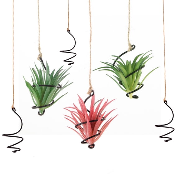 6 Pack Hanging Air Plant Holders Adjustable Rustproof Metal Wire Air ...