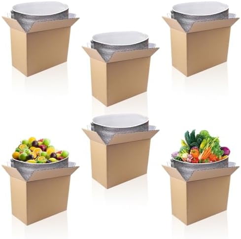 6 Pack Insulated Shipping Boxes with Aluminum Foil Liner, 11’’X6’’X7.9 ...