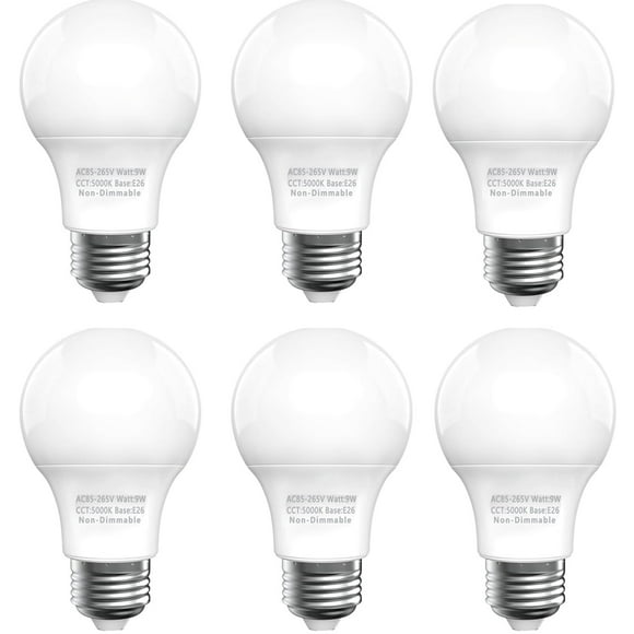 Regular Light Bulbs