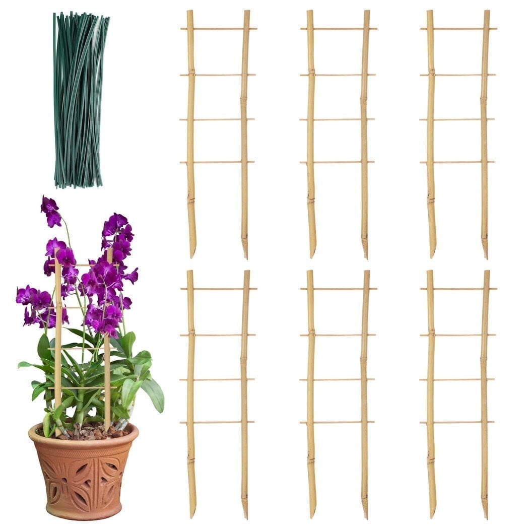 6 Pack Plant Trellis for Climbing Plants Indoor, Bamboo Trellis Set ...