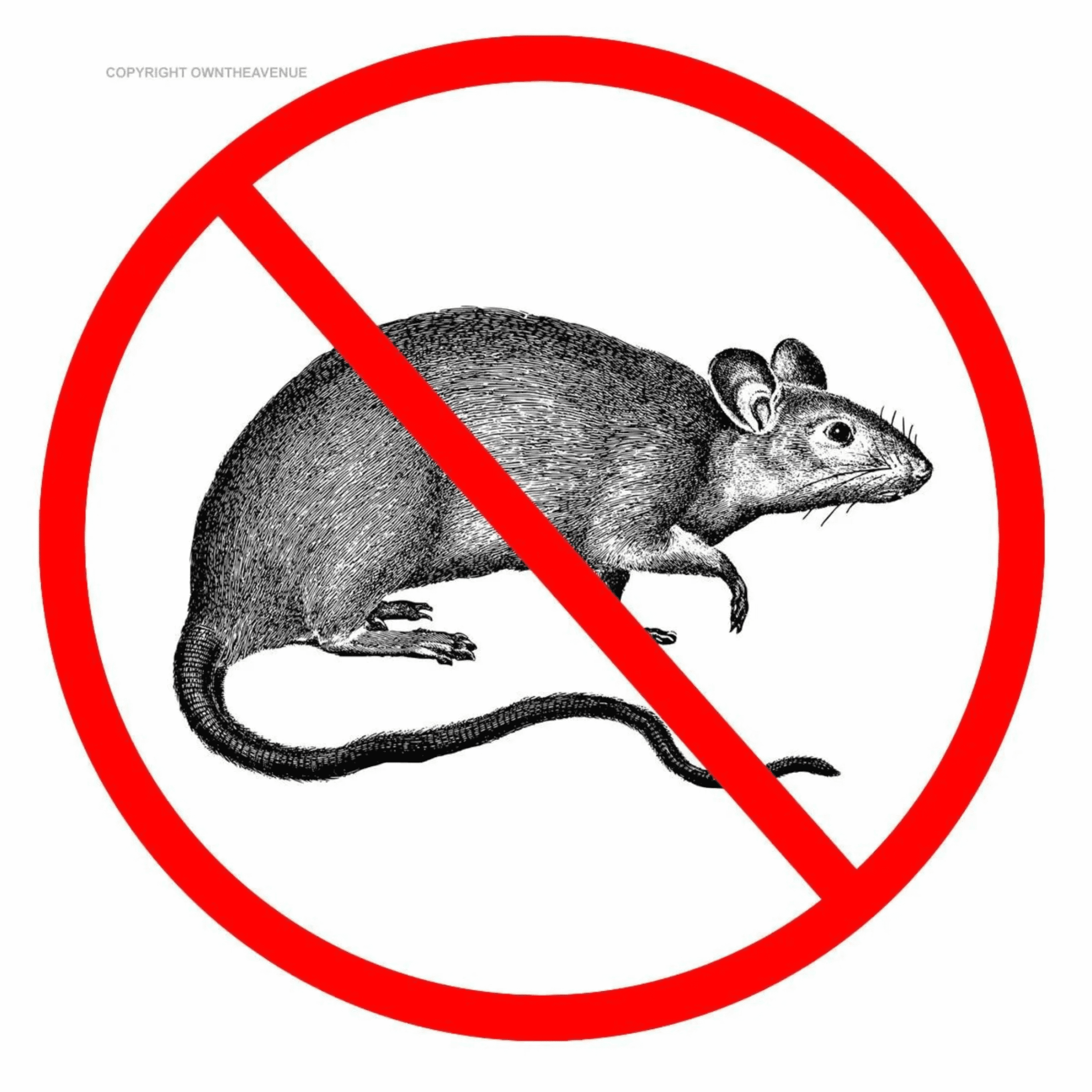 6 Pack No Rats Construction Hardhat Toolbox Funny Vinyl Sticker Decal 2 ...