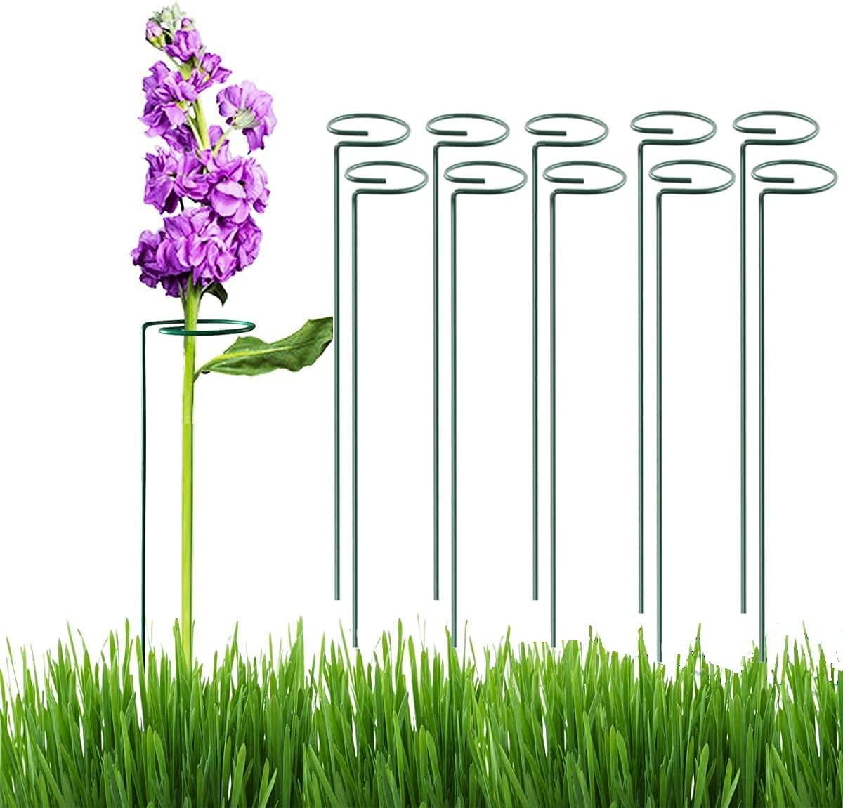 6 Pack Plant Stakes for Flowers, Metal Single Stem Plant Support ...