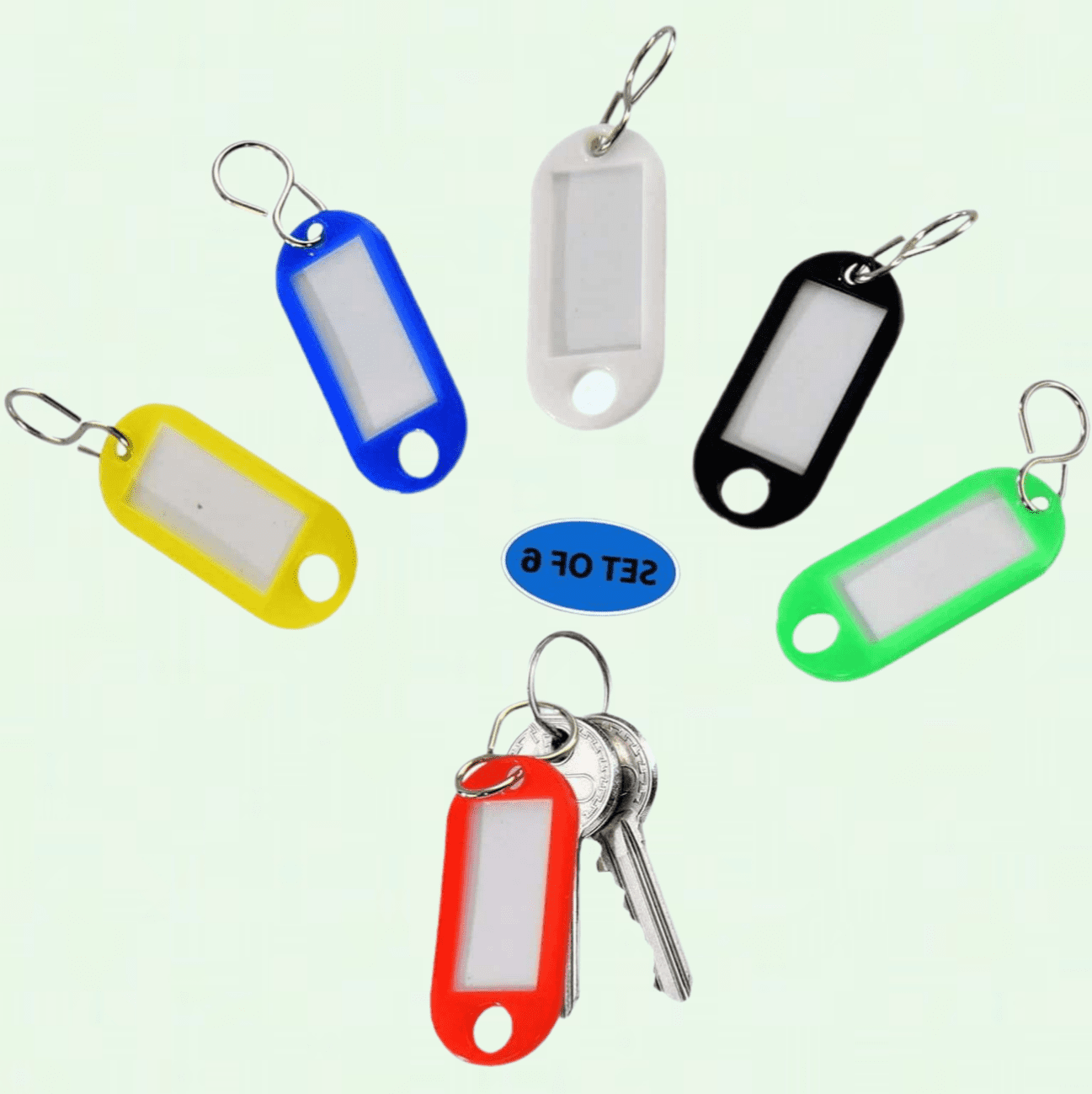 6 Pack Plastic Key Tags Keychain with Label Window, Assorted Colors ...