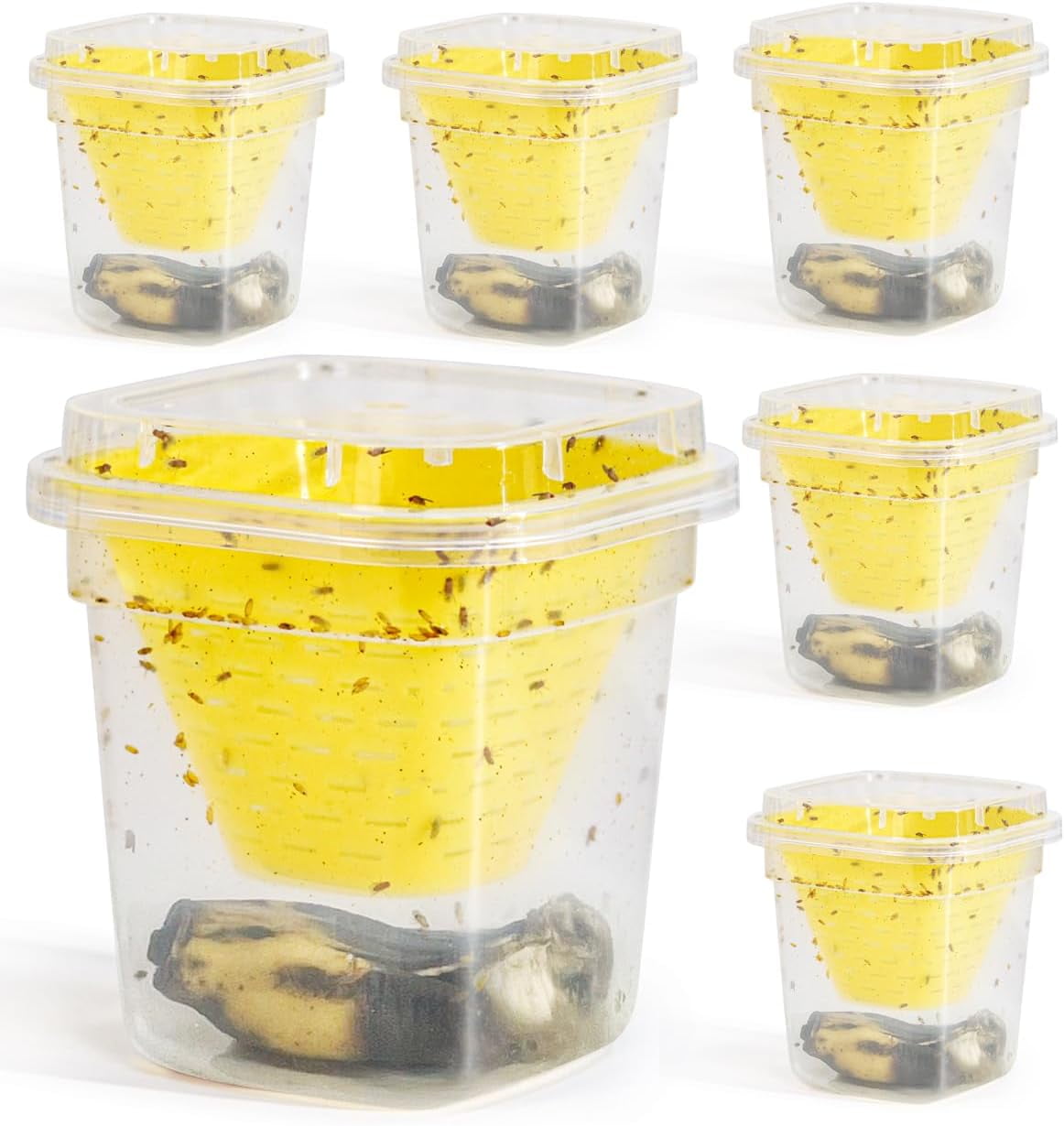 6 Pack Reusable Fruit Fly Trap, Non-Toxic Fruit Fly Catcher, Safe for ...