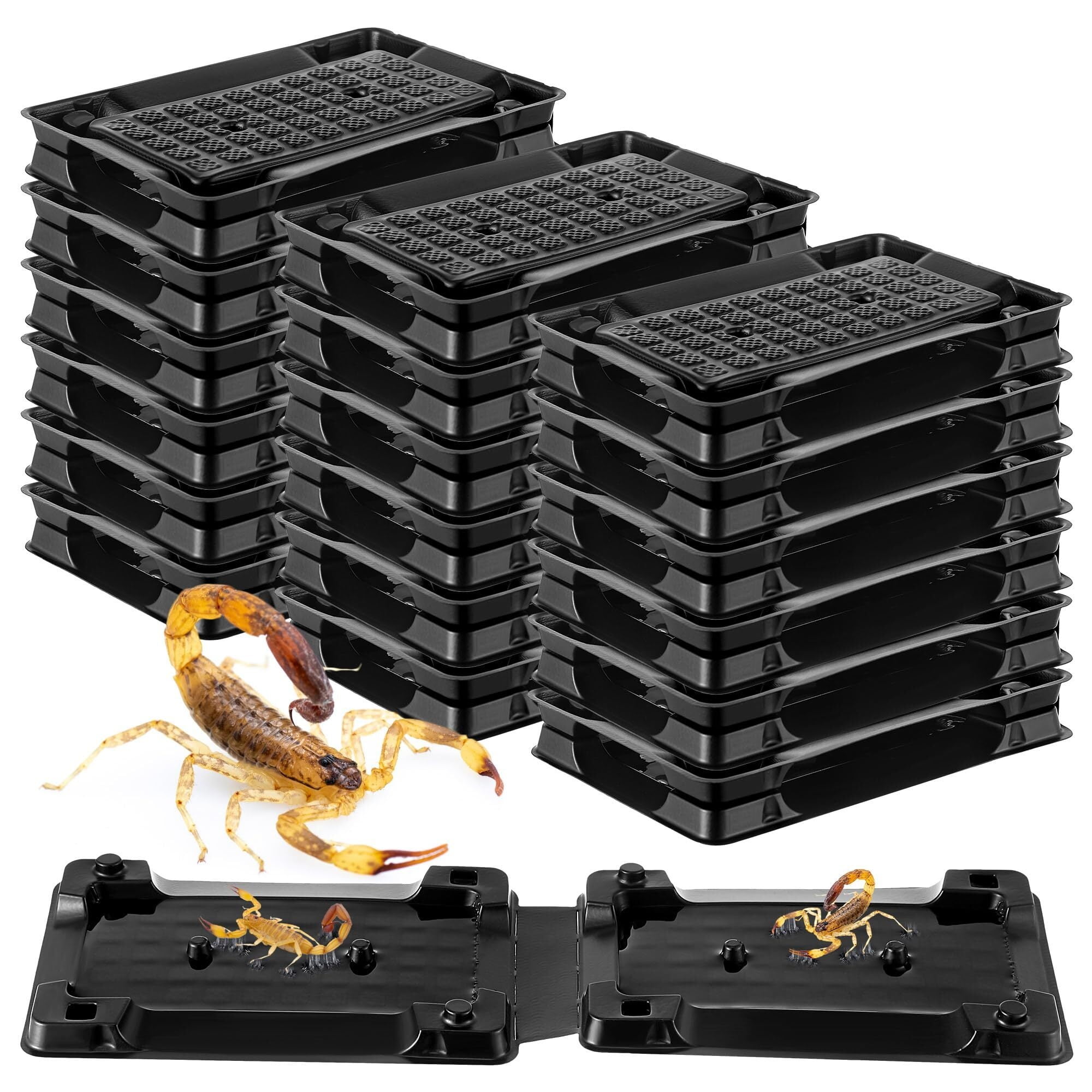 6-Pack Scorpion Glue Traps, Indoor Safe for Kids and Pets, Non-Toxic ...