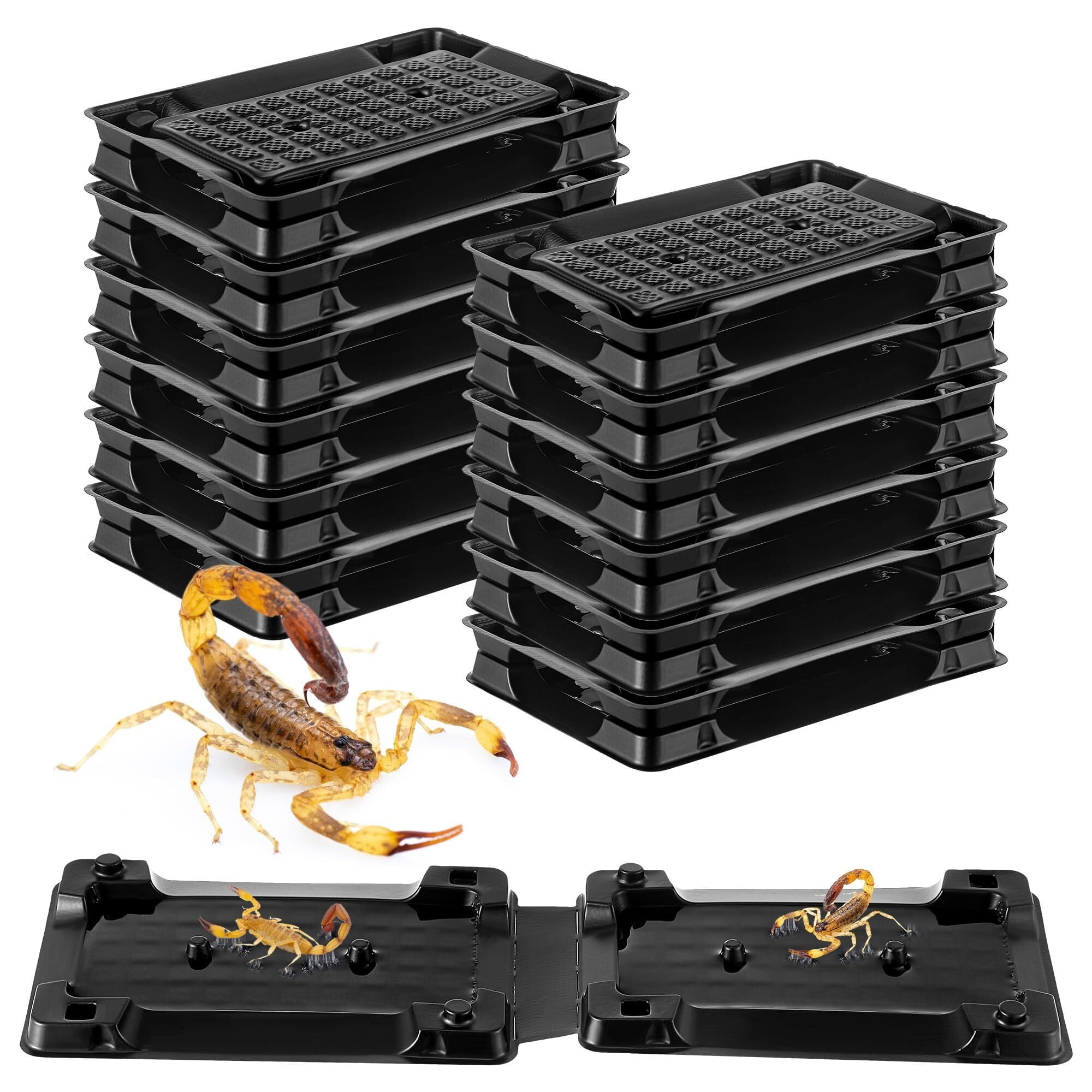 6-Pack Scorpion Glue Traps, Indoor Safe for Kids and Pets, Non-Toxic ...