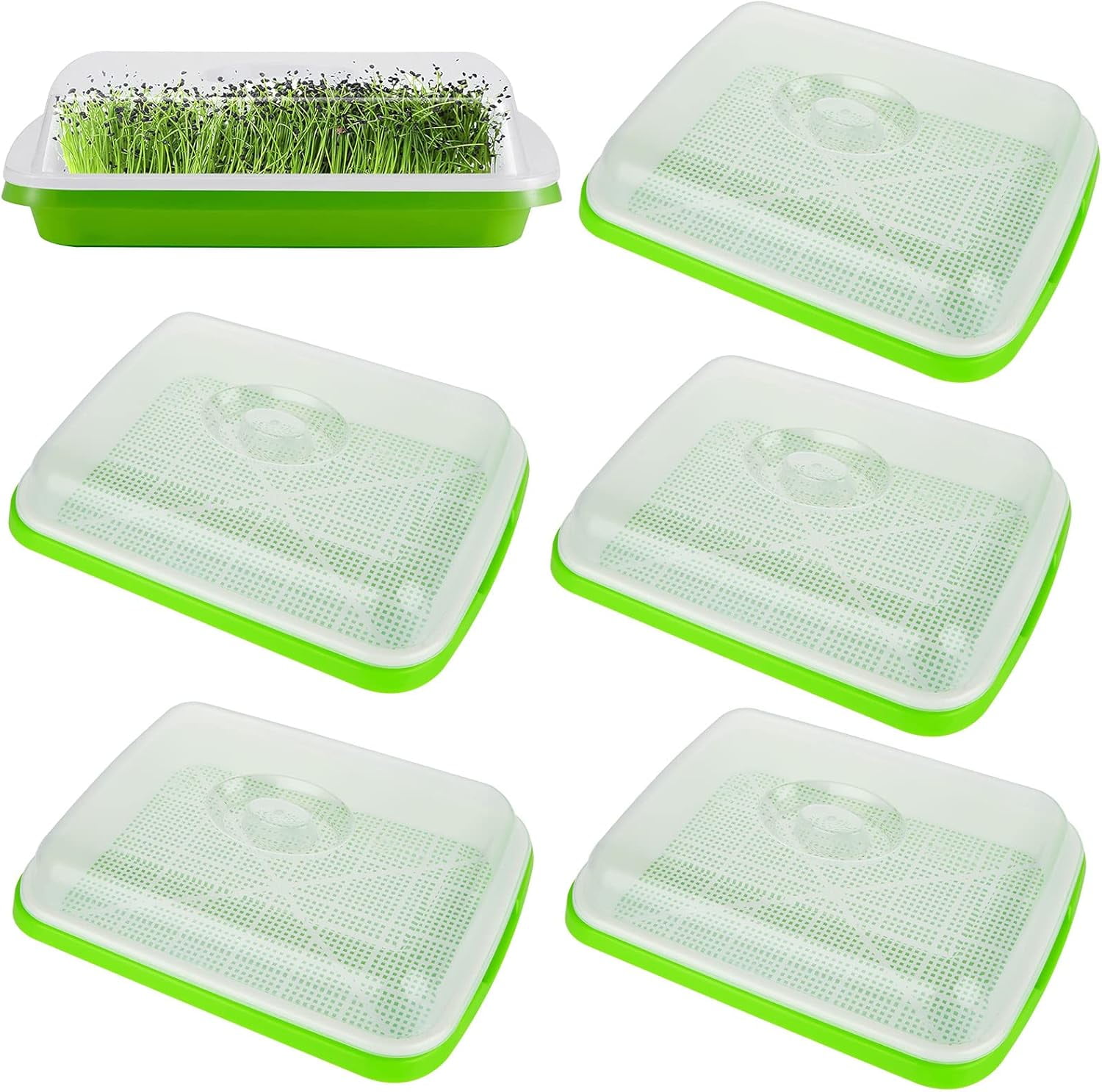 6 Pack Seed Seed Sprouter Trays with Lids- Soil-Free Cultivation ...