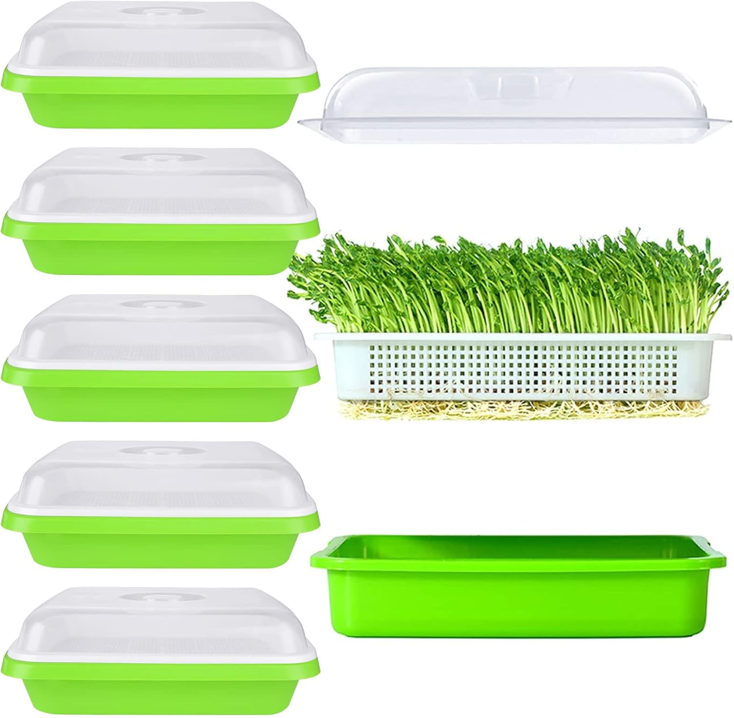 6 Pack Seed Sprouting Tray with Drain Holes BPA Free Nursery Tray ...