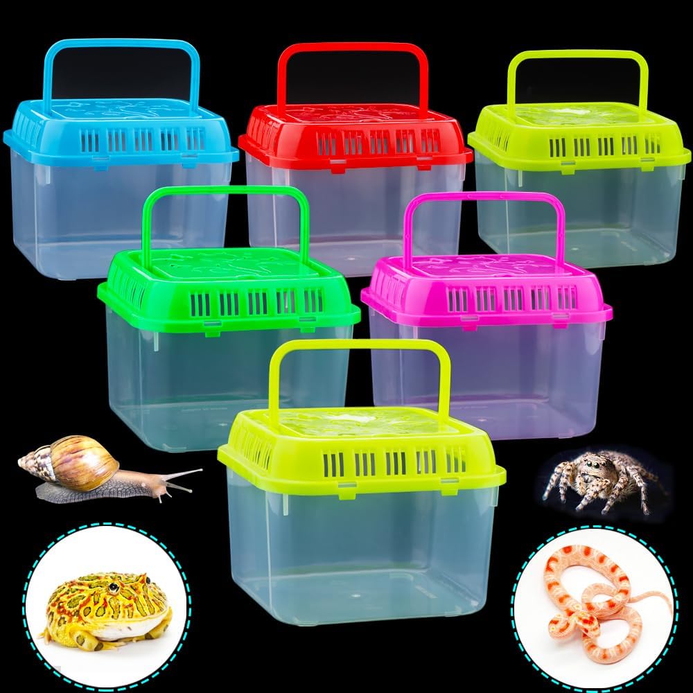 6 Pack Small Reptile Carrier Breeding Box Snake Plastic Hatching ...