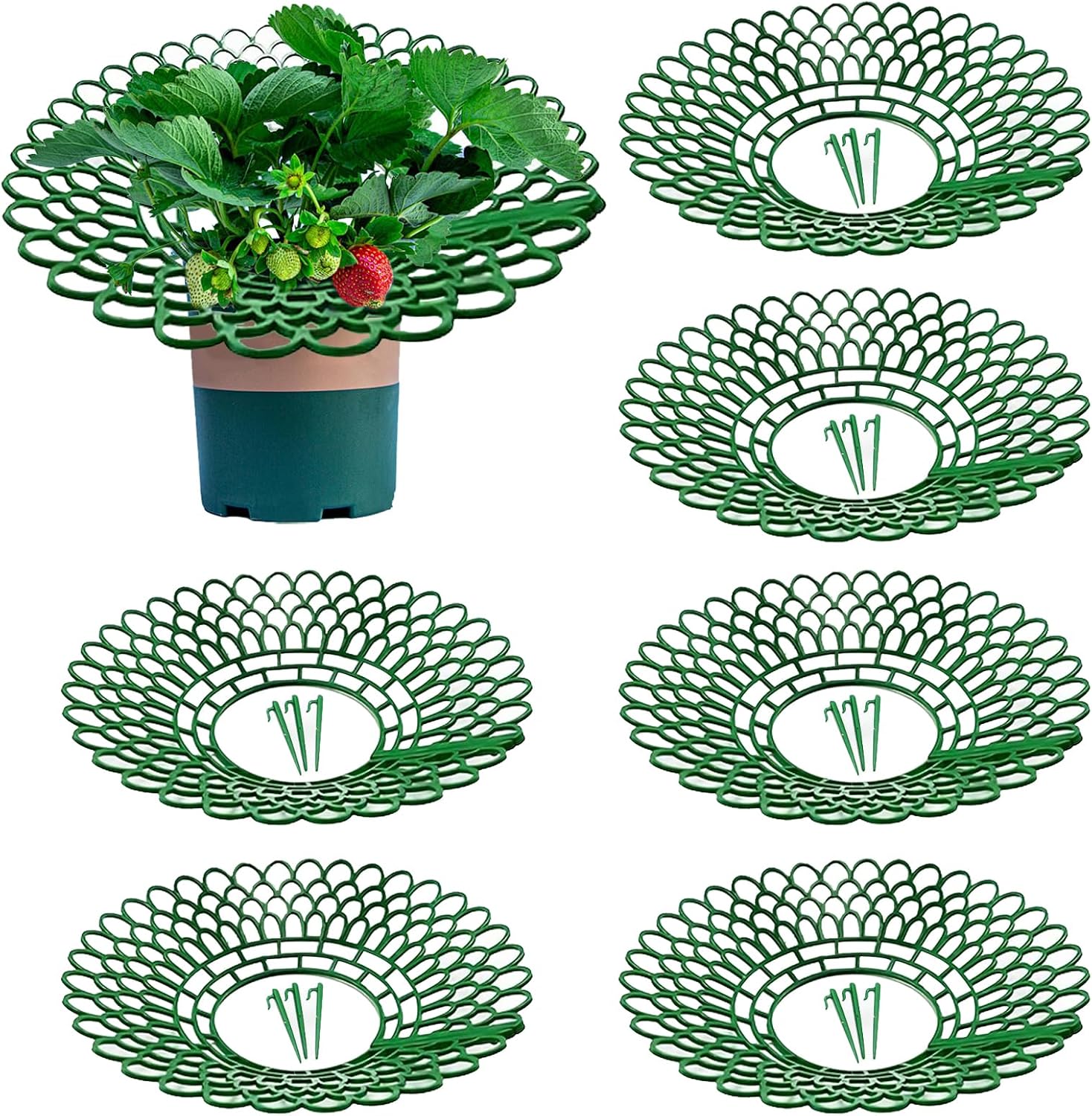 6 Pack Strawberry Plant Support - Strawberry Growing Racks with 3 ...