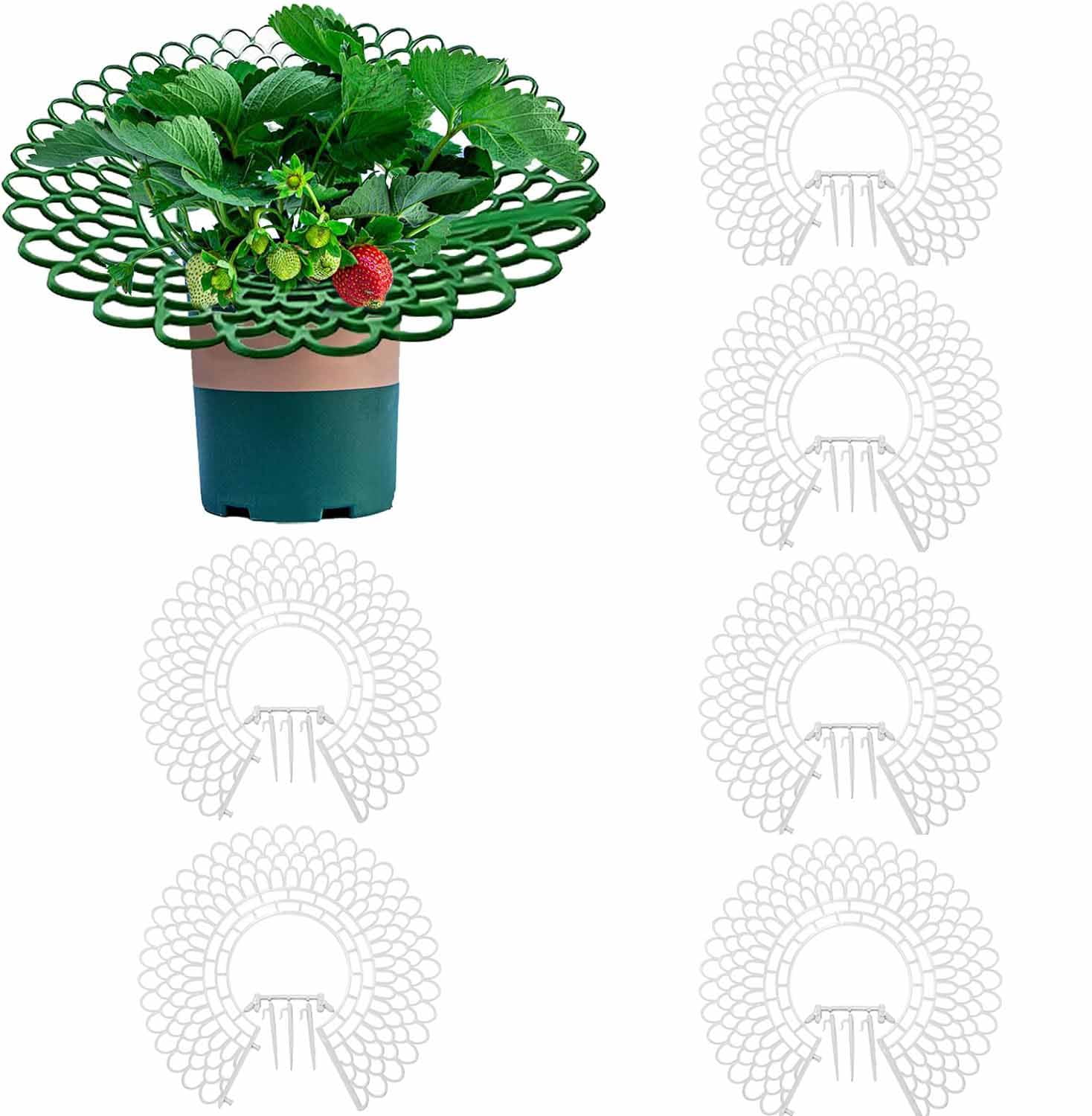 6 Pack Strawberry Plant Support - Strawberry Growing Racks with 3 ...