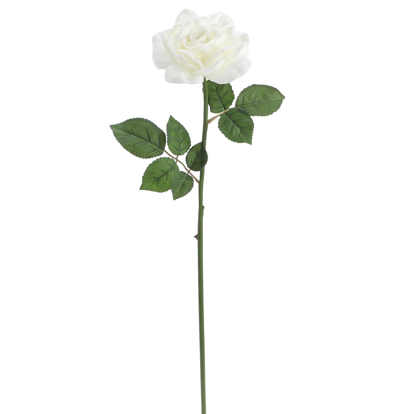 White Rose With Stem