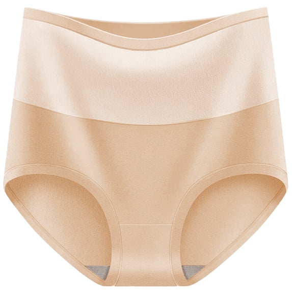 6 Pack Women's Brief Underwear Thickening Fleecing Thermal High Waists ...