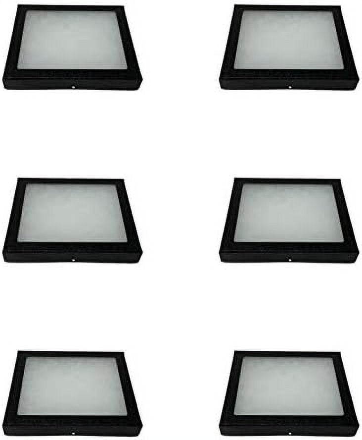 6 Pack of Riker Display Cases 5 x 6 x 3/4 for Collectibles, Arrowheads ...