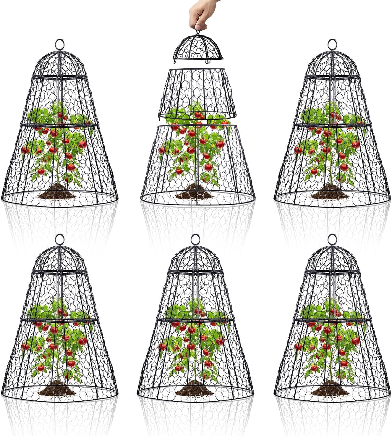 （6 Packs） 14" D x 18" H Chicken Wire Cloche, Garden Cloche Plant ...