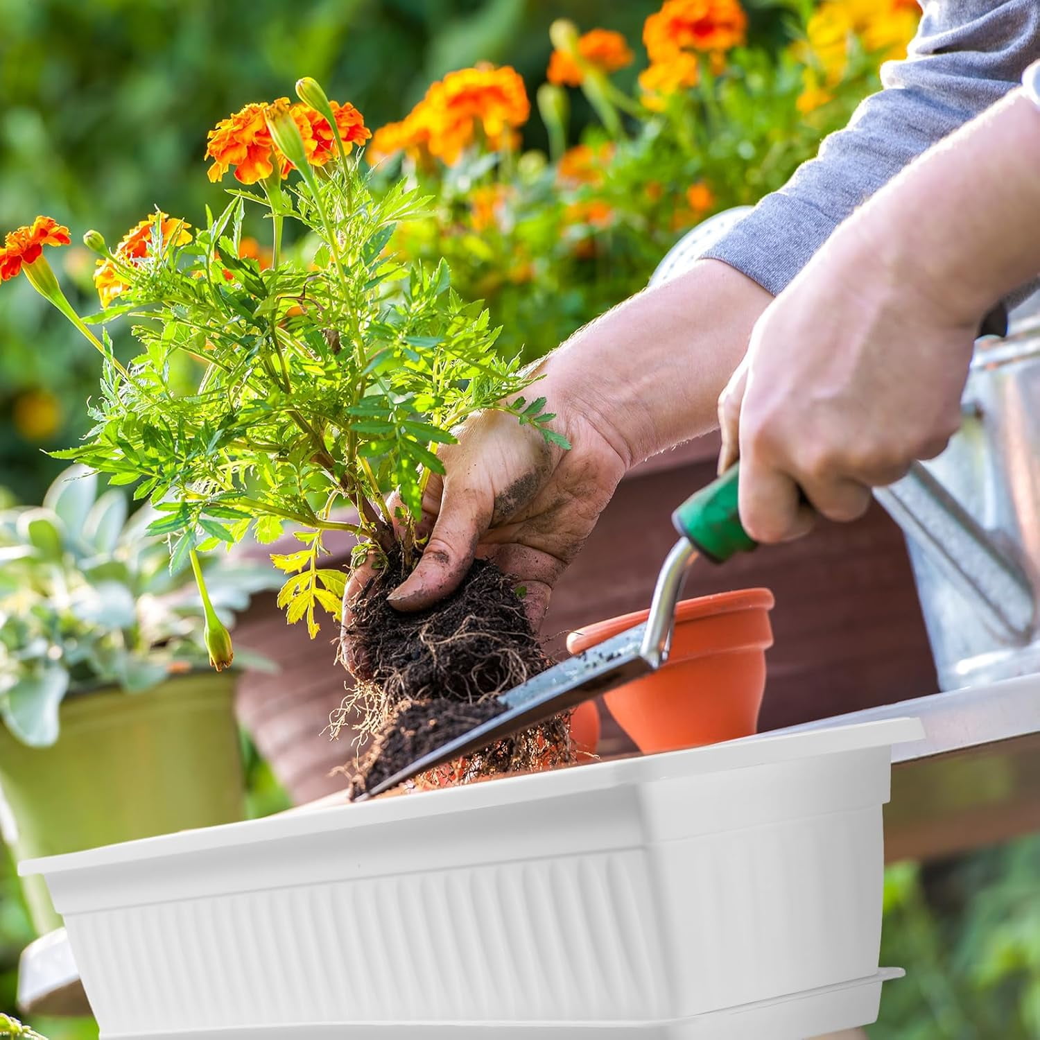 6 Packs 23 Inch Window Flower Box Extra Large Window Sill Herb Garden ...