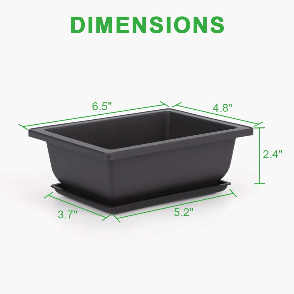 6 Packs 6.5 Inch Bonsai Pots With DrainHumidity Trays Tree Kits 1 ...
