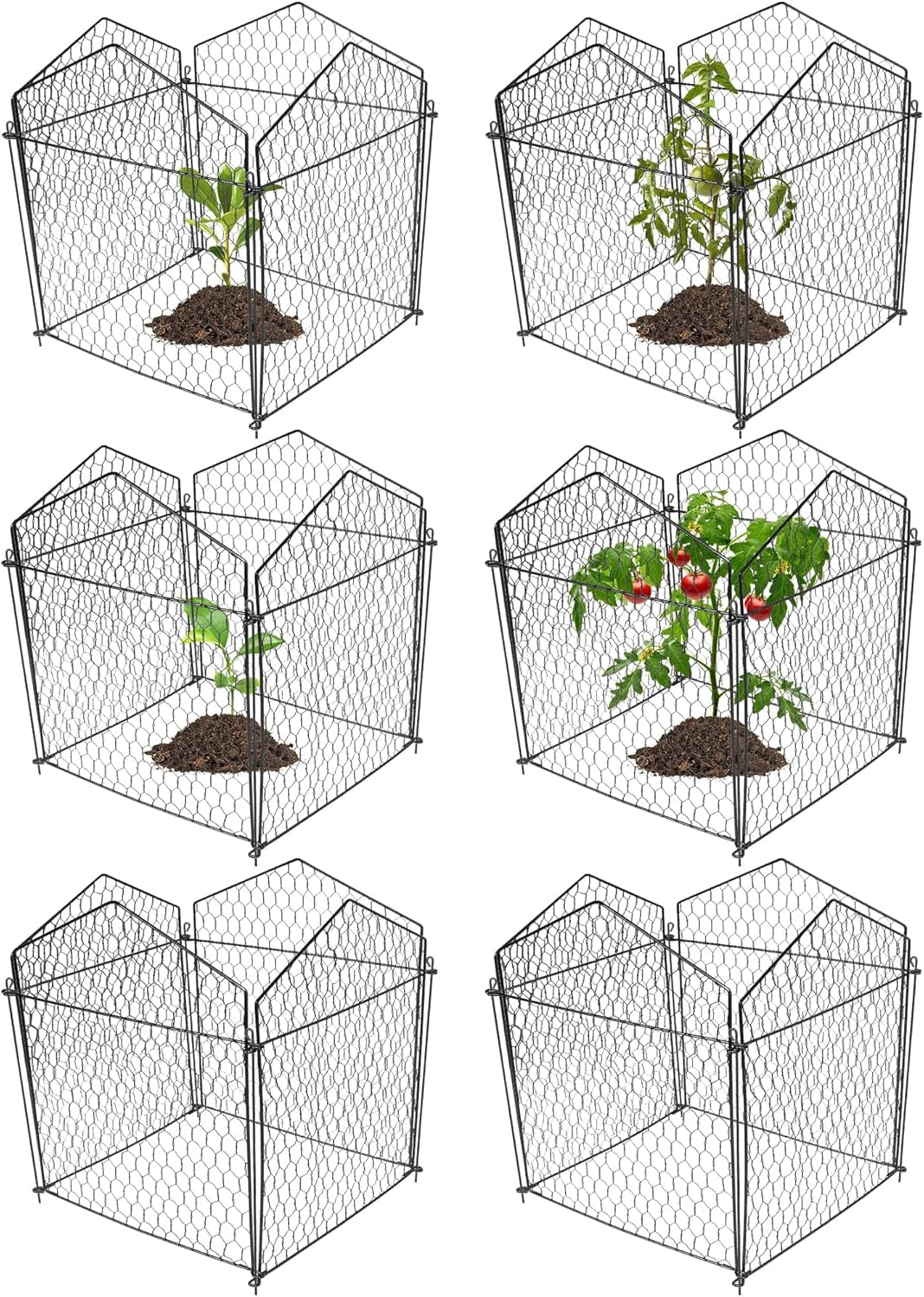 6 Packs Chicken Wire Cloche for Plant Protectors,Garden Cloches Metal ...