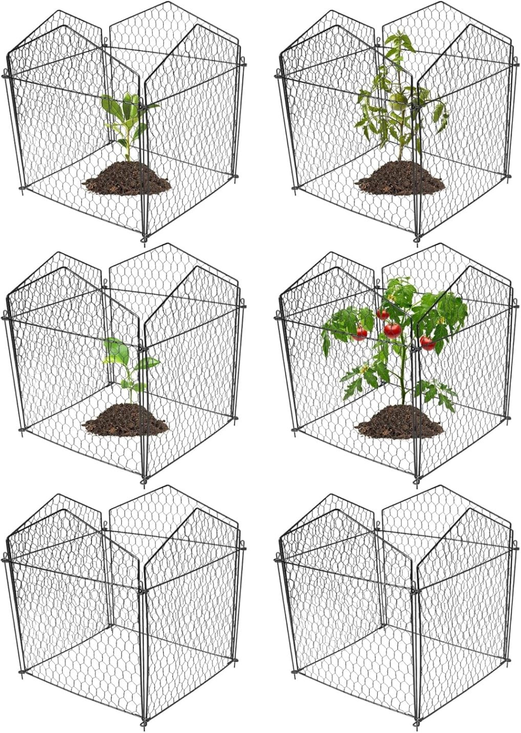 6 Packs Chicken Wire Cloche for Plant Protectors,Garden Cloches Metal ...