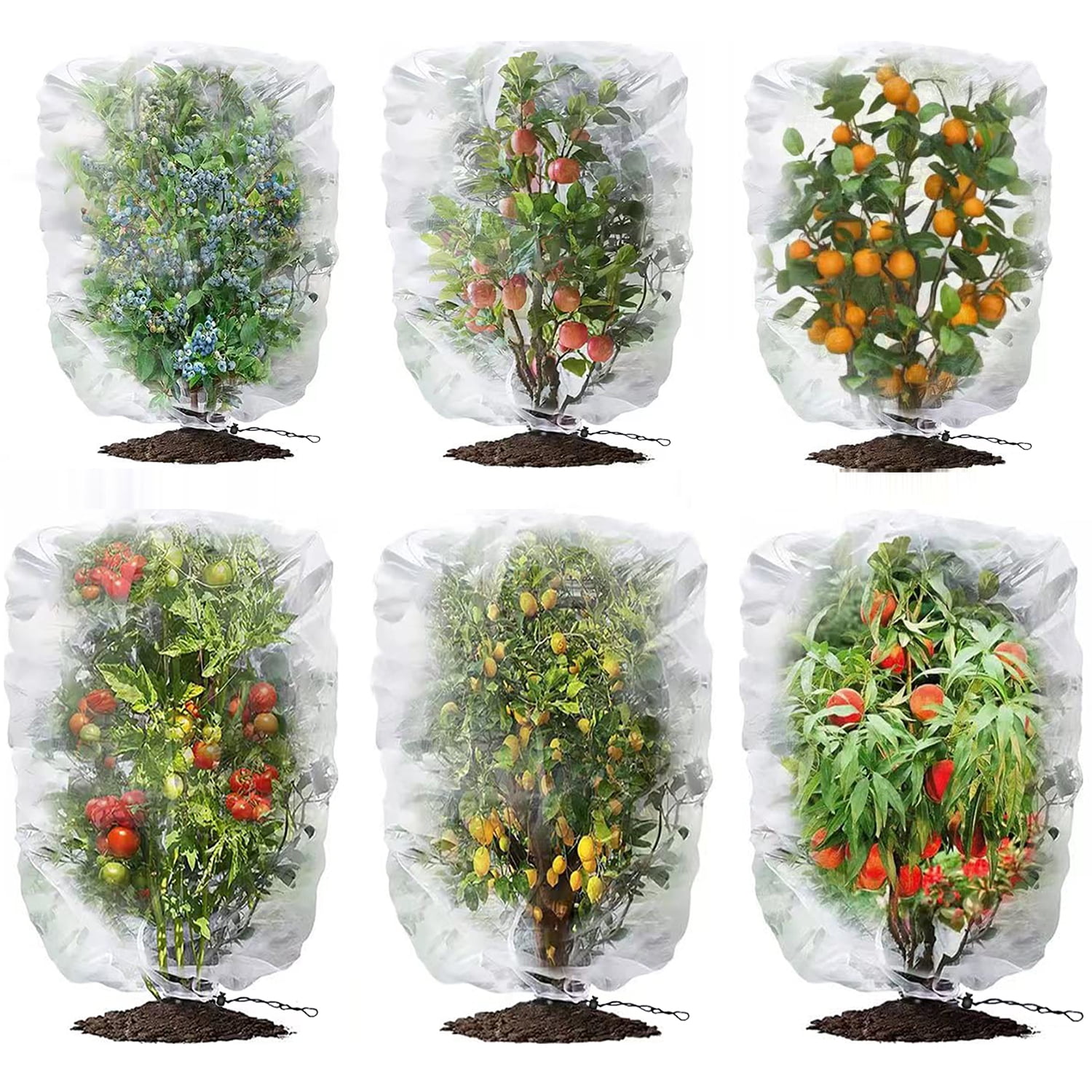 6 Packs Fruit Tree Netting, 2 Sizes Garden Netting Pest Barrier, Garden ...