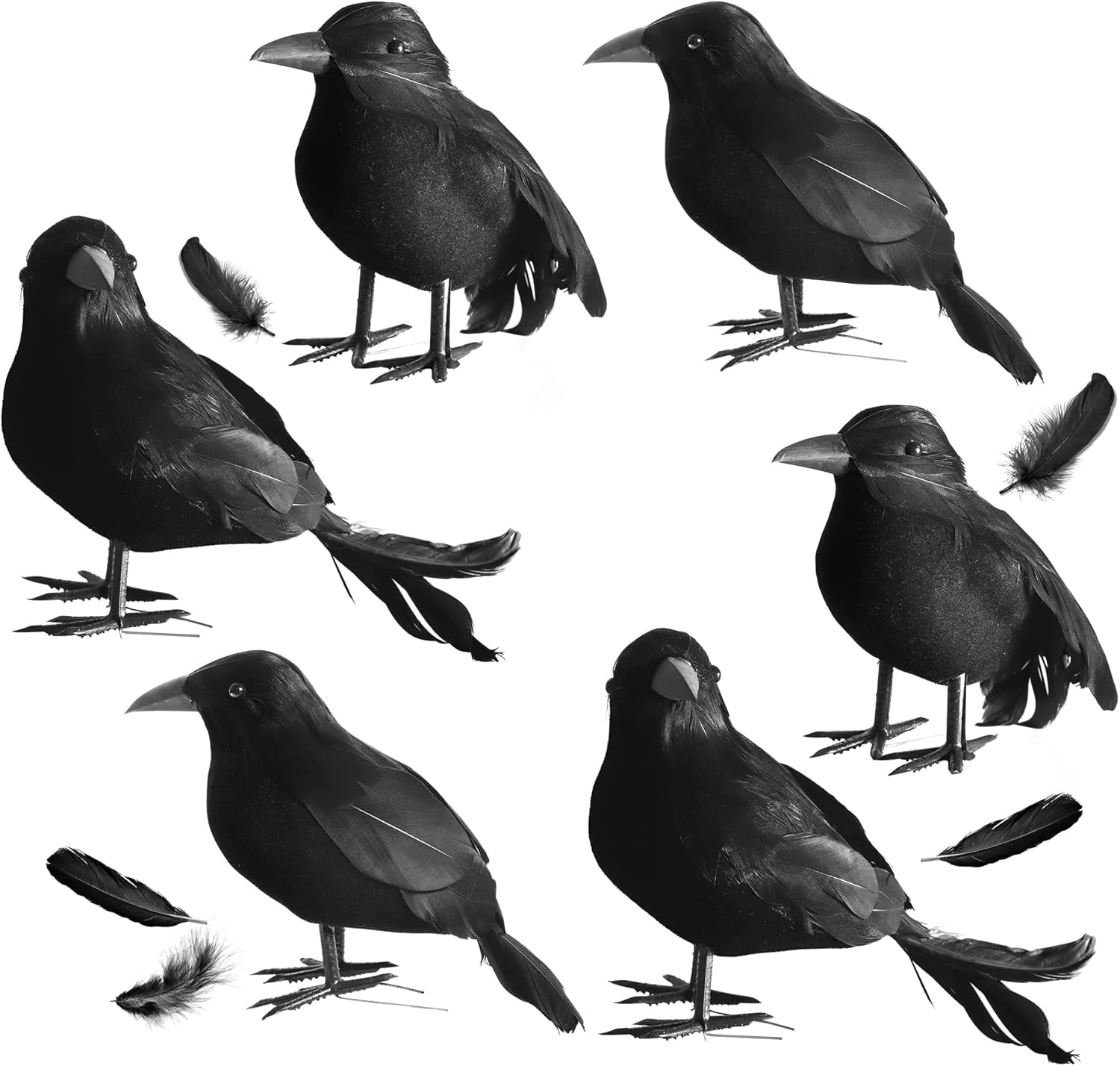6 Packs Real Feathered Halloween Black Crows, Handmade Realistic Crow ...