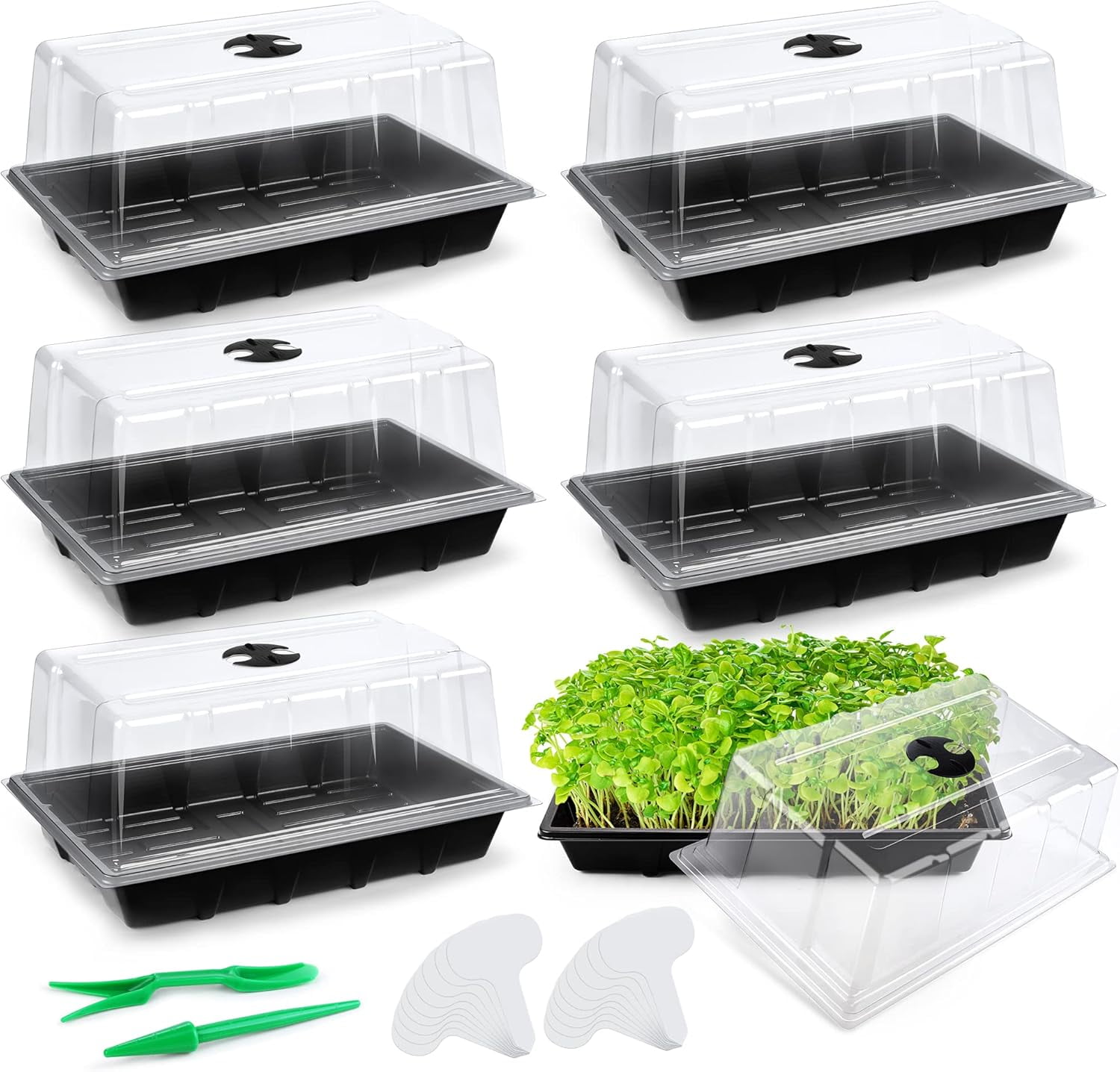 6 Packs Seed Starter Tray Kits with Humidity Dome, Plastic Germination Growing Trays with Plants ...