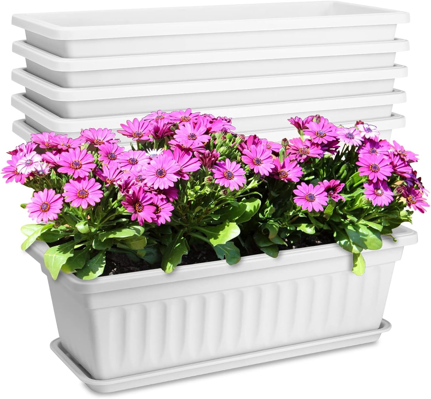 6 Packs Window Box Planter, 17 Inches Flower Window Box Rectangular ...