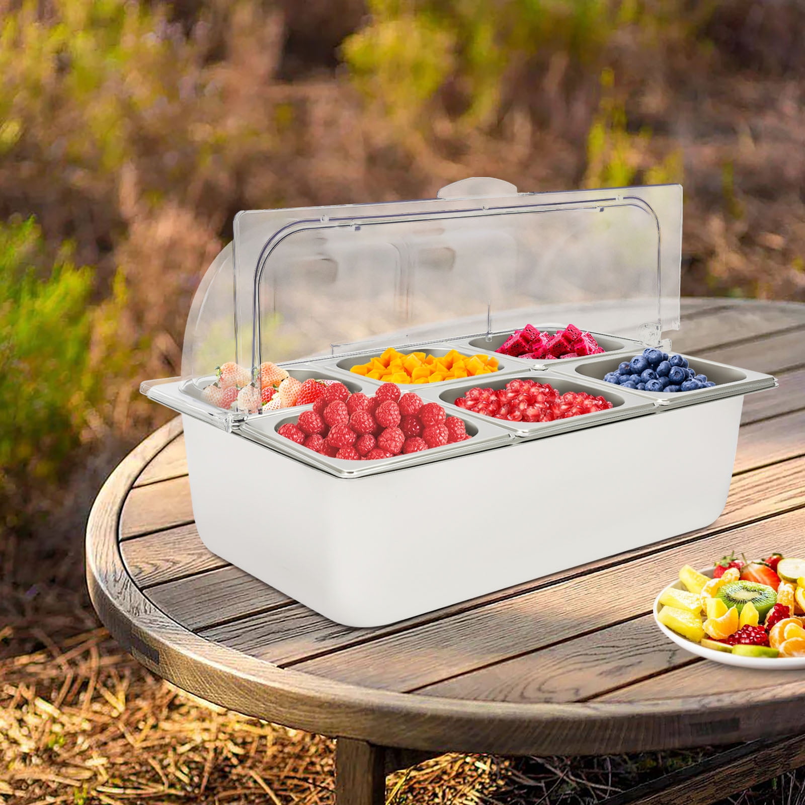 6-Pan Stainless Steel Ice Food Serving Display Tray with Dual Hot ...