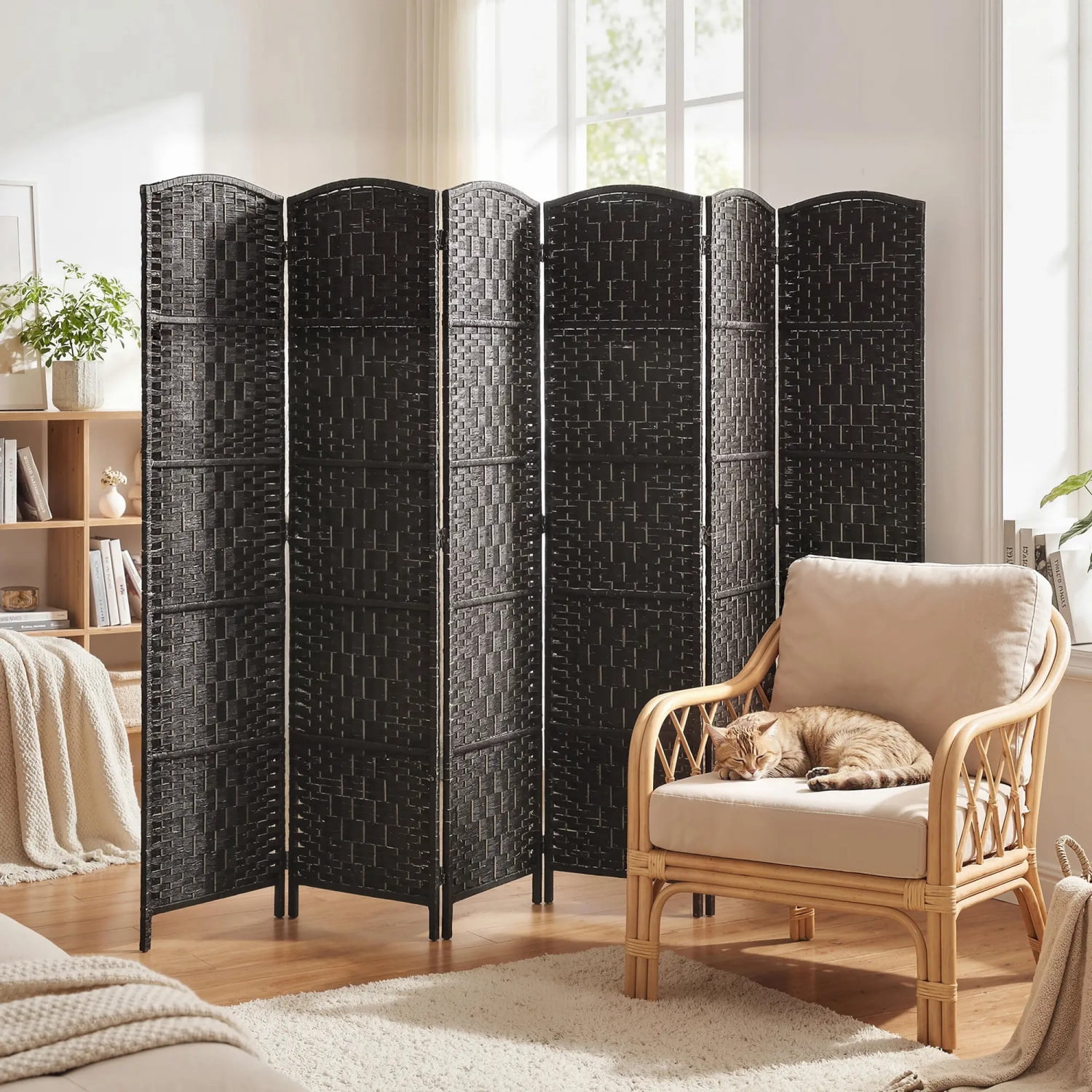Poplar Panel