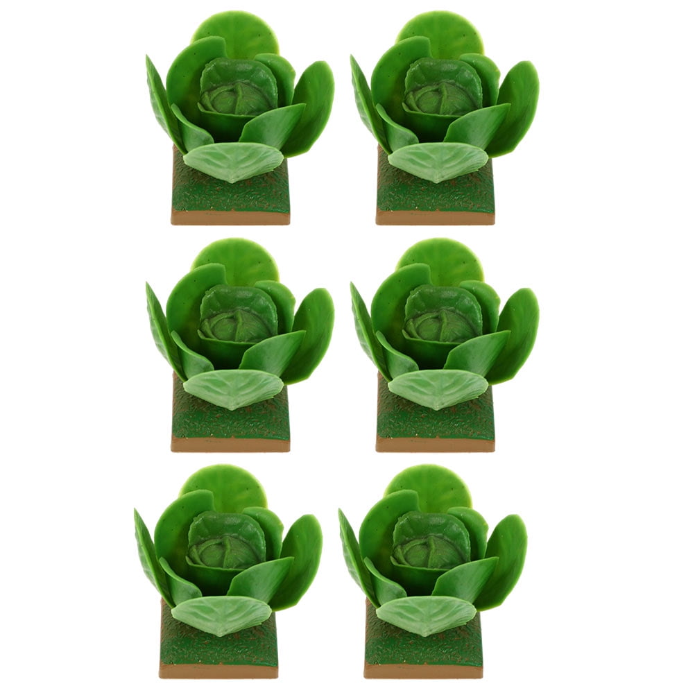 6Pcs Creative Veggie Models for Children Toys Cabbage Decor Simulation ...
