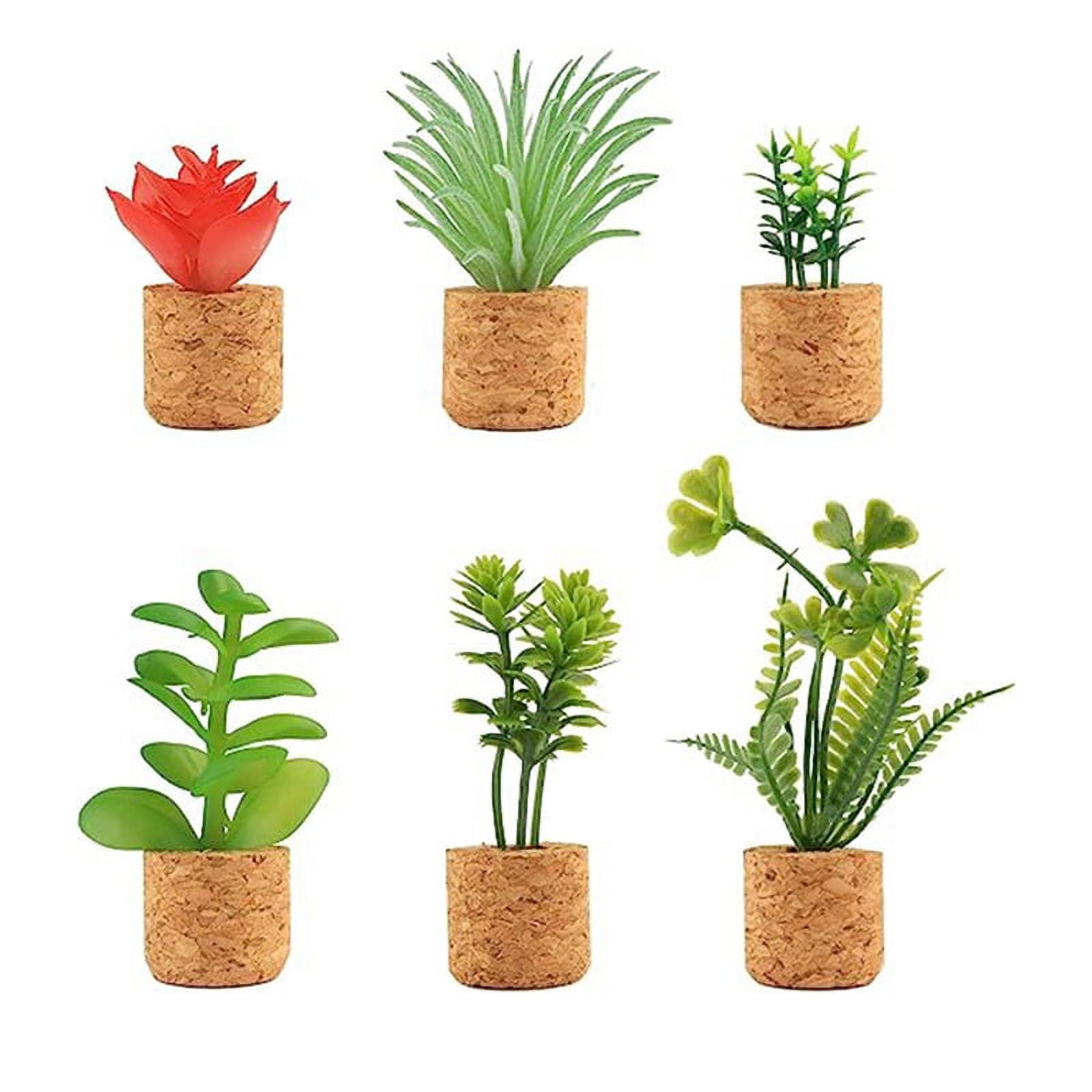 6 Pcs Cactus Refrigerator Magnets Mini Cute Plant Fridge Magnet ...