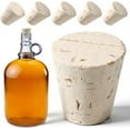 6 Pcs Carboy Cork Stopper, Fermentation Corks for Most 3 5 6 Gallon ...