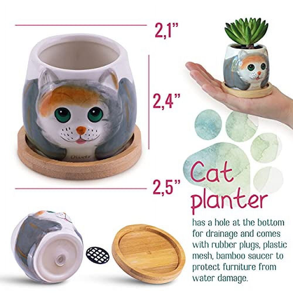 6 Pcs Ceramic Succulent Pots with Unique Hand-Painted Cat Faces - Cat ...