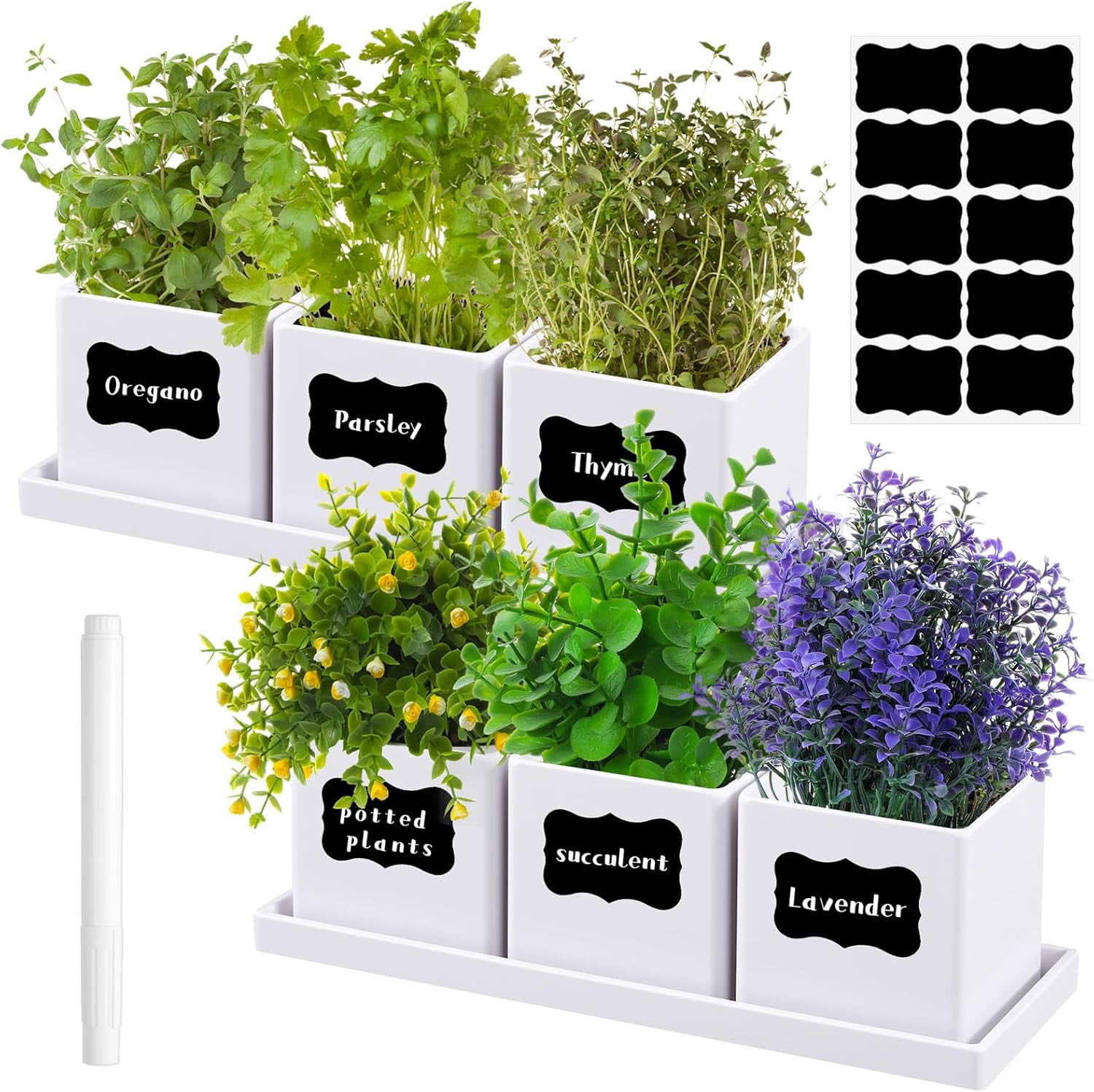 6 Pcs Herb Garden Planter Set Herb Garden Kit Indoor Plastic Plant Pots ...