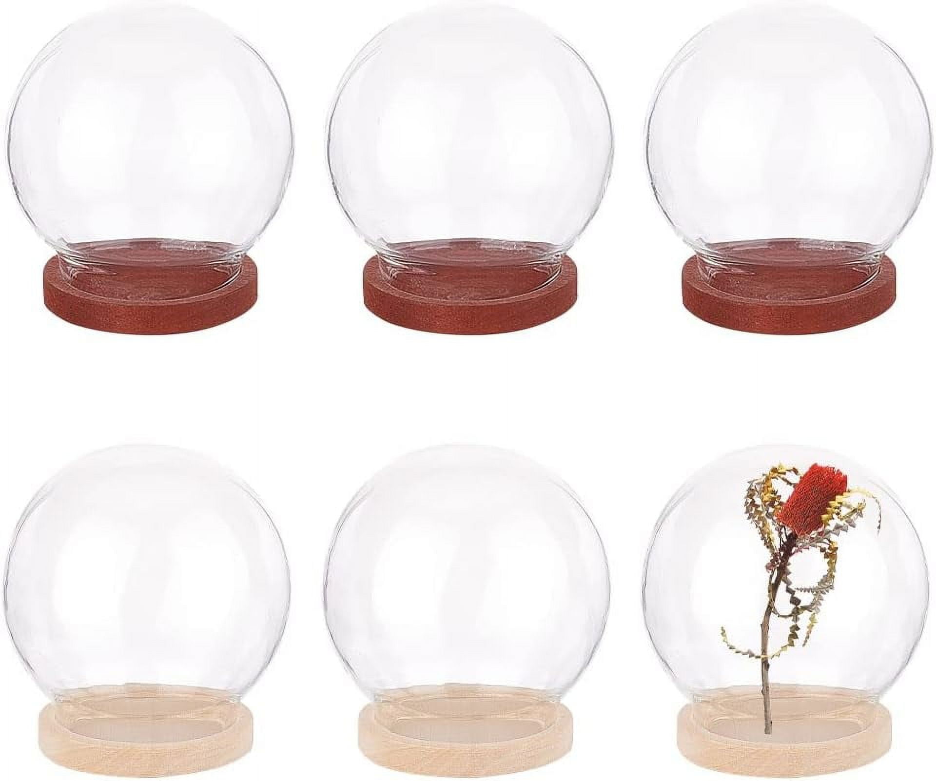 6 Pcs Mini Glass Dome 1.57" in Diameter Round Glass Display Dome Glass ...