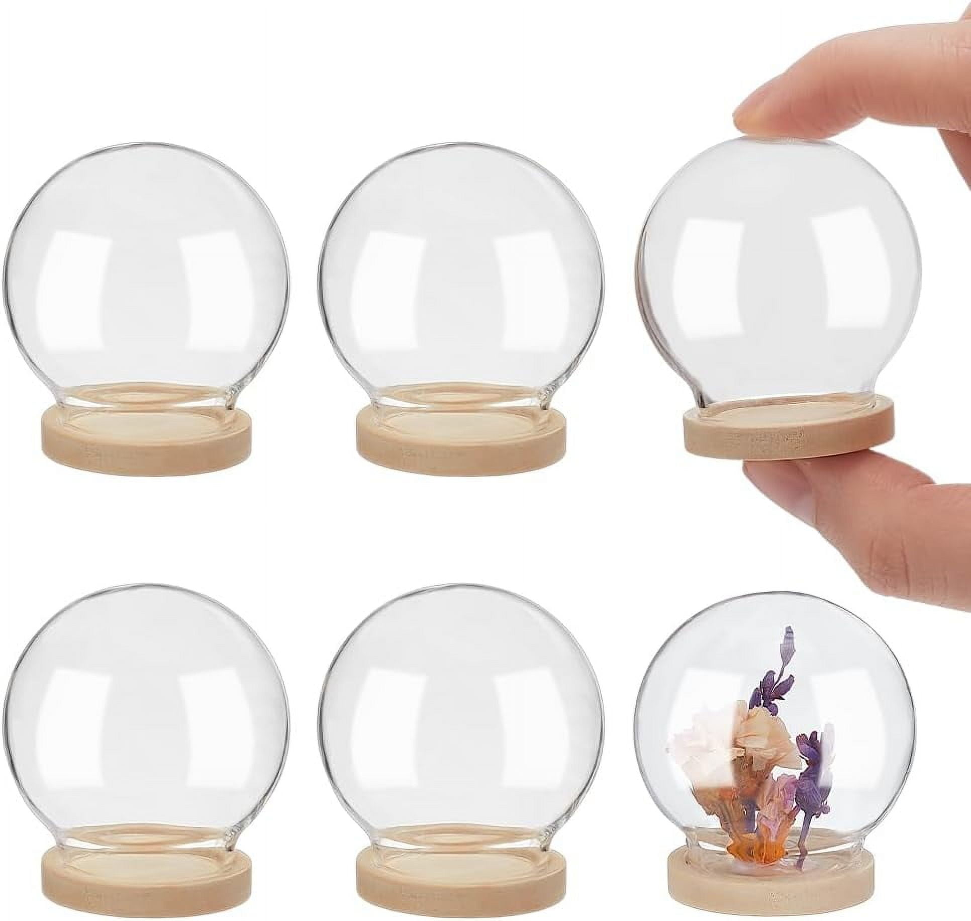 6 Pcs Mini Round Glass Dome Clear Glass Display Dome Cover with Wood ...
