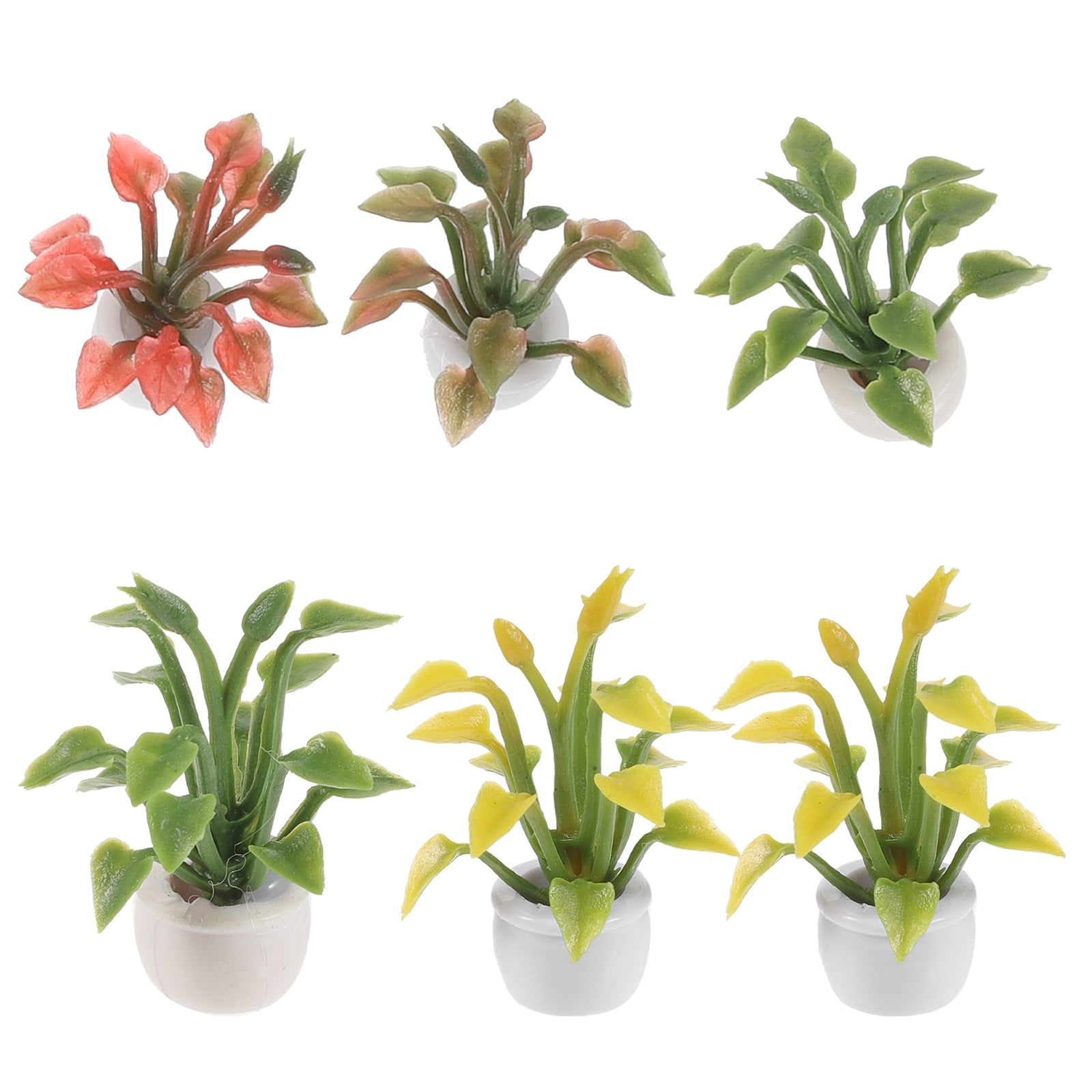HONITANO Miniature Potted Plants Miniature Plant Set Collectors 6Pcs ...