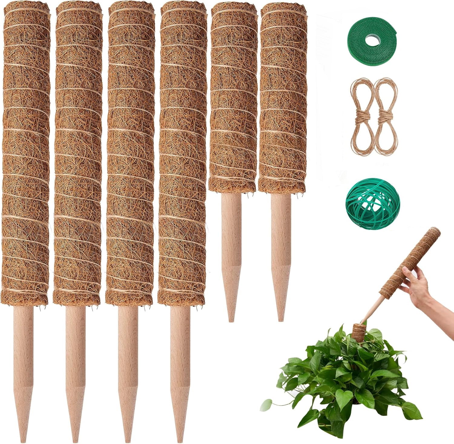 6 Pcs Moss Pole Extending to 68 Inches for Plants Monstera, Plant ...