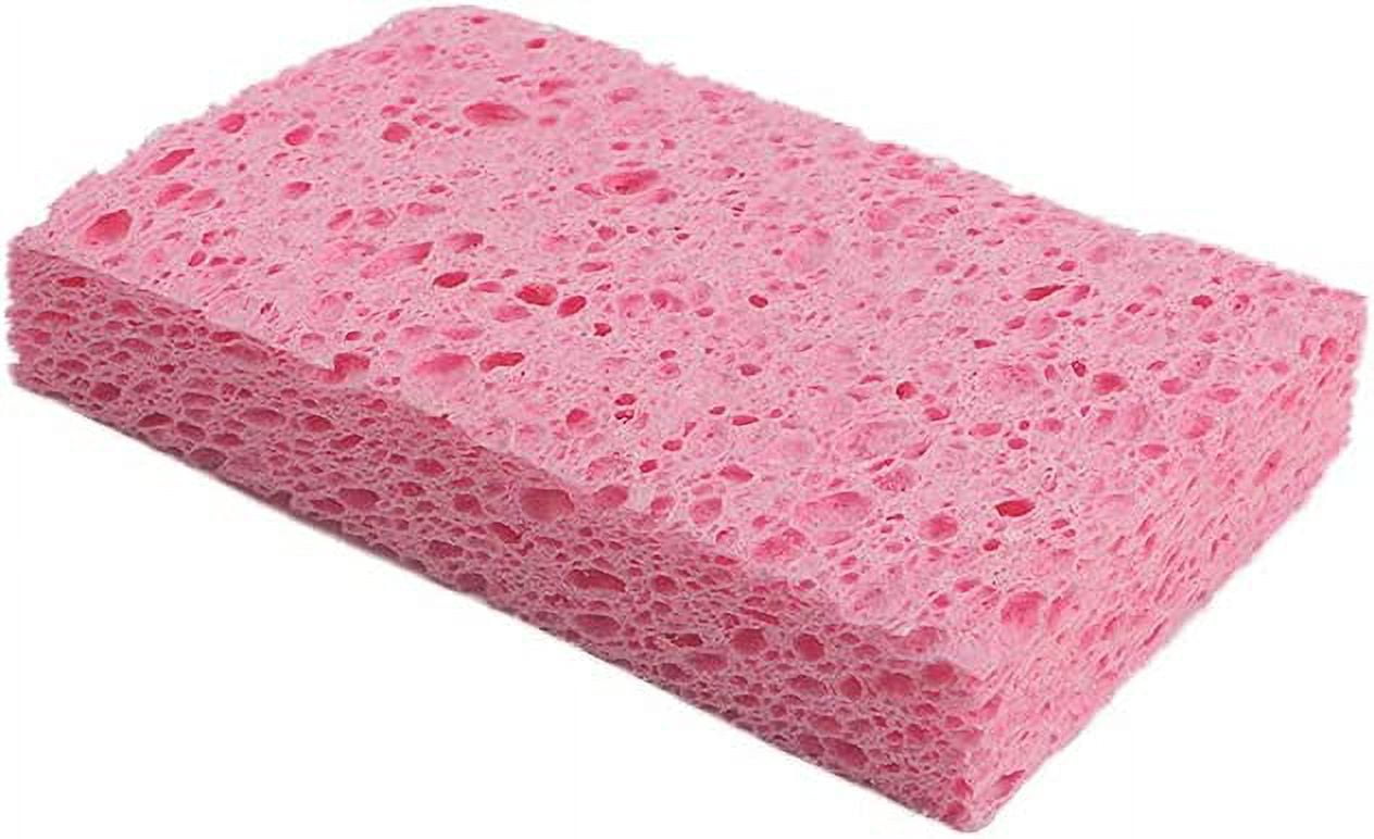 6 Pcs Natural Cellulose Biodegradable Sponges Kitchen Dishwashing ...