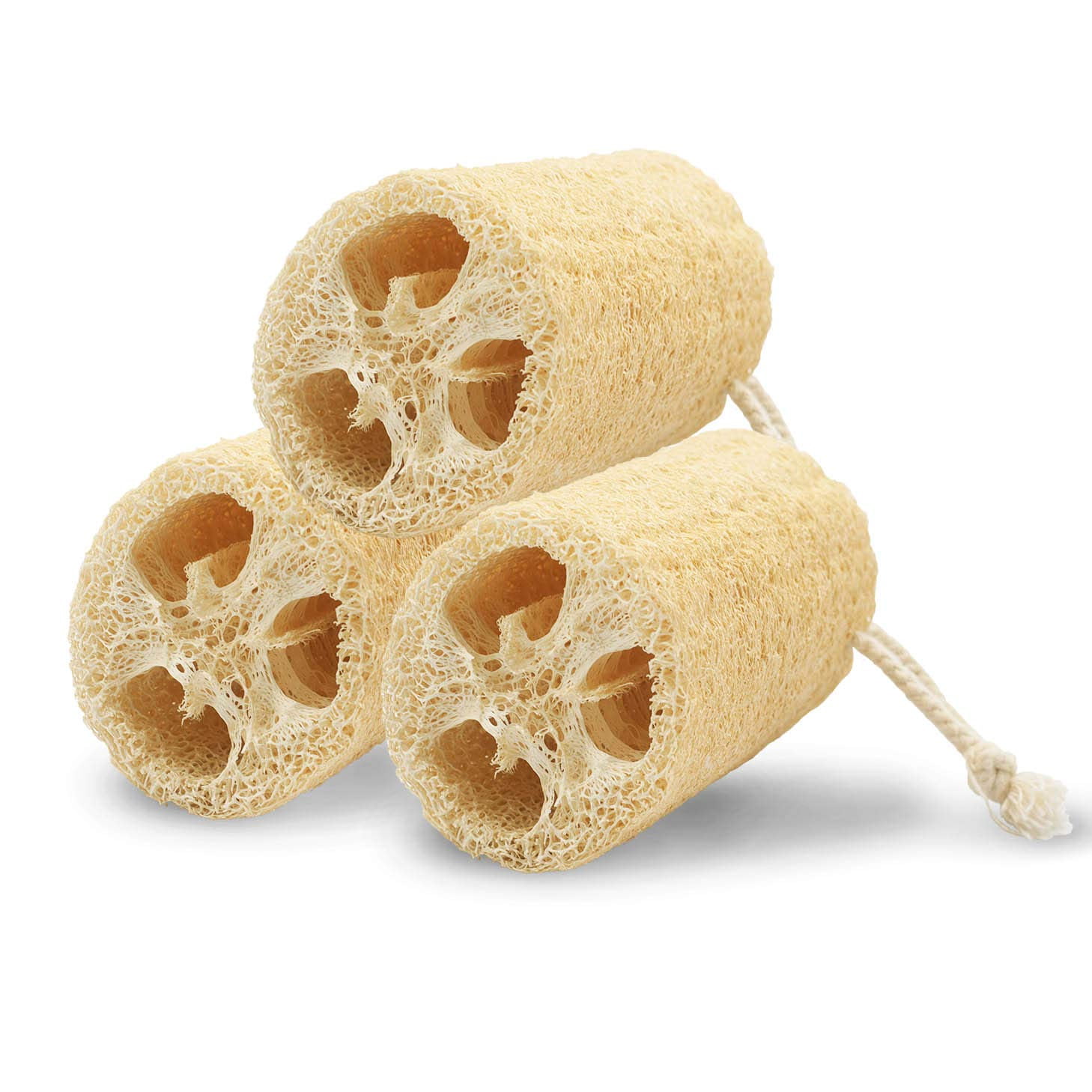 6 Pcs Organic Natural Loofah Sponge, Unbleached Luffa Eco-Friendly ...