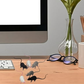 Prank Mouse