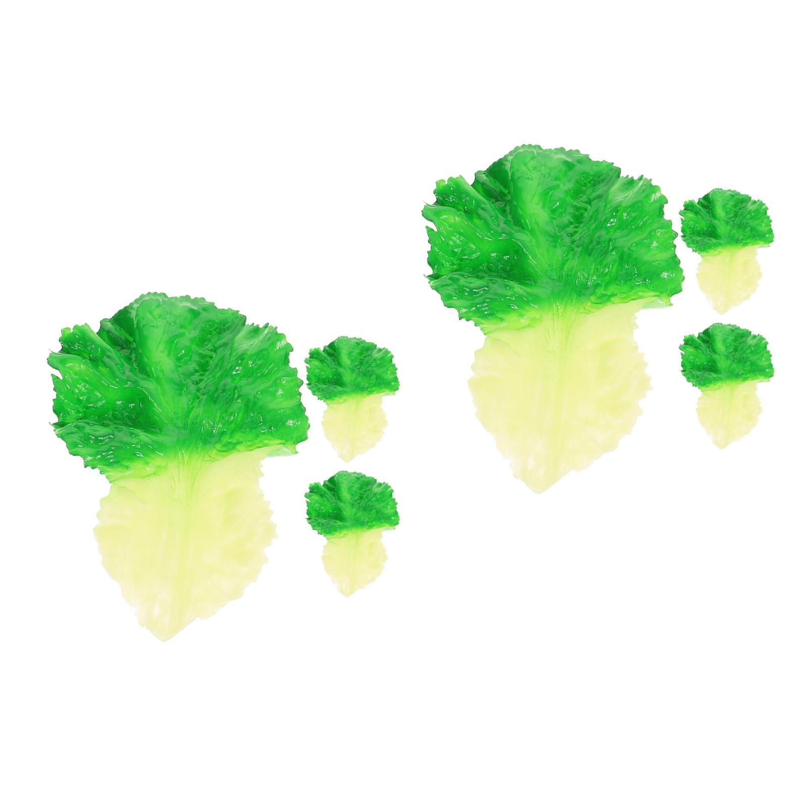 6 Pcs Simulated Vegetable Leaf Models Lifelike Vegetable Leaf Crafts ...