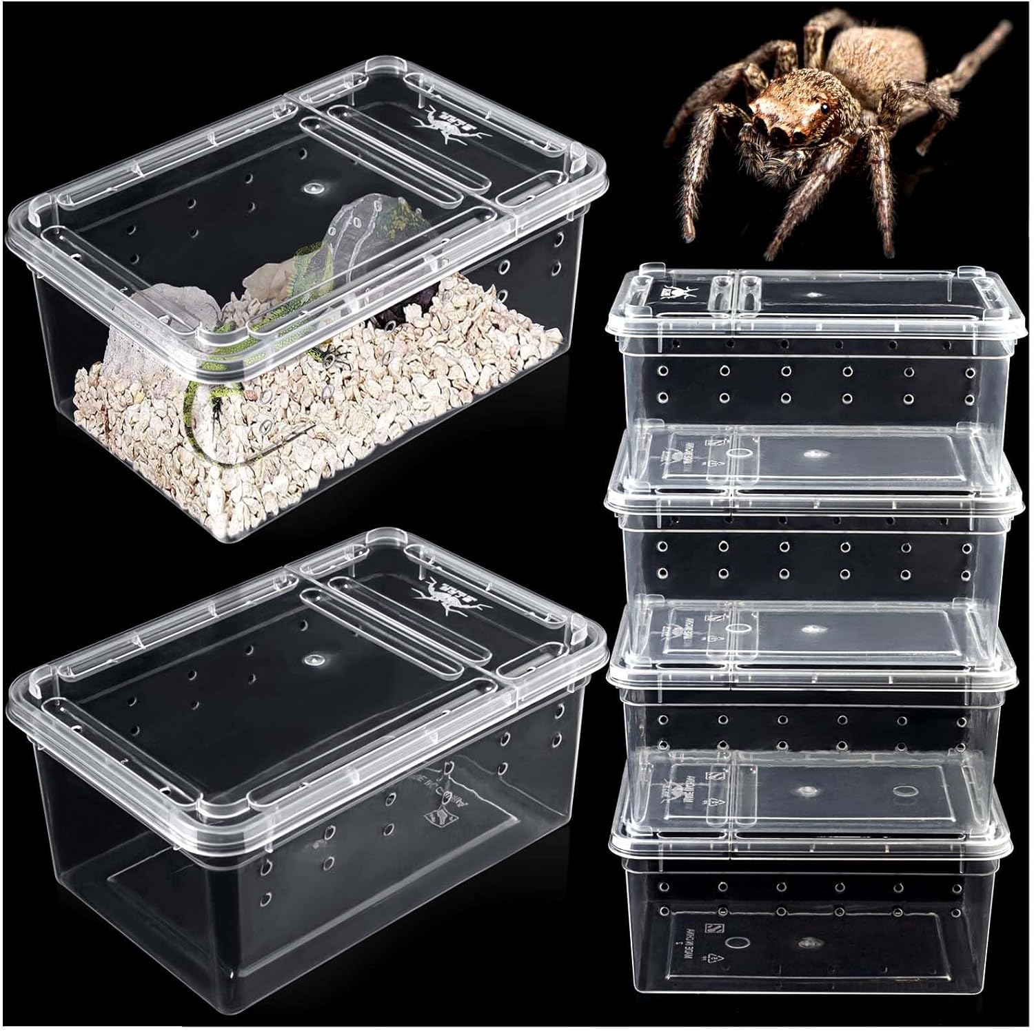6 Pcs Spider Terrariums Breeding Box Insect Container Transparent ...