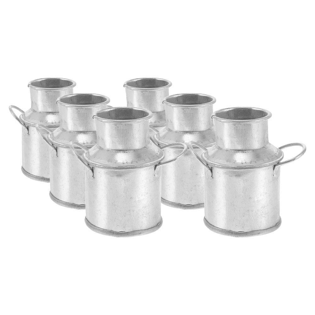 6 Pcs Succulent Gardening Flower Pots Galvanized Mini Pails Toy House ...