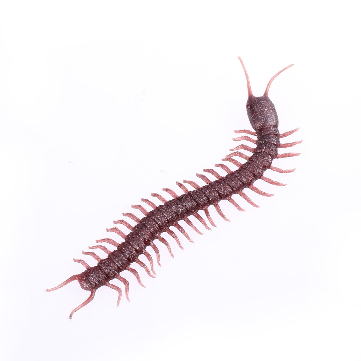 6 Pcs Toys Deguisement Halloween Decor Realistic Bugs April Fools Day ...