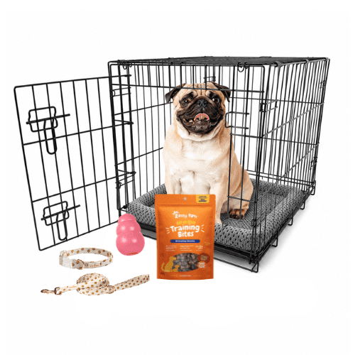 6-Piece Puppy Starter Kit with Wire Crate, Crate Bed, Collar, Leash ...