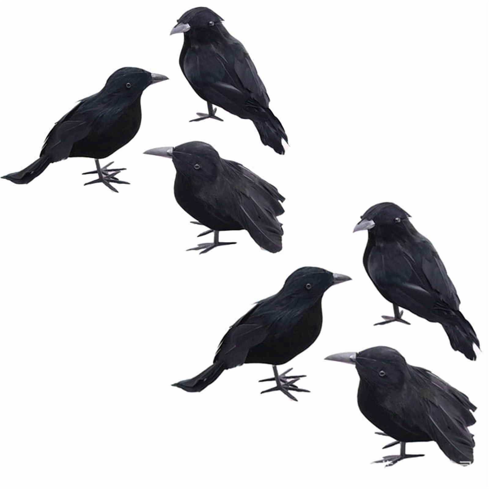 6-Piece Realistic Black Raven Set with Lifelike Artificial Feathers ...